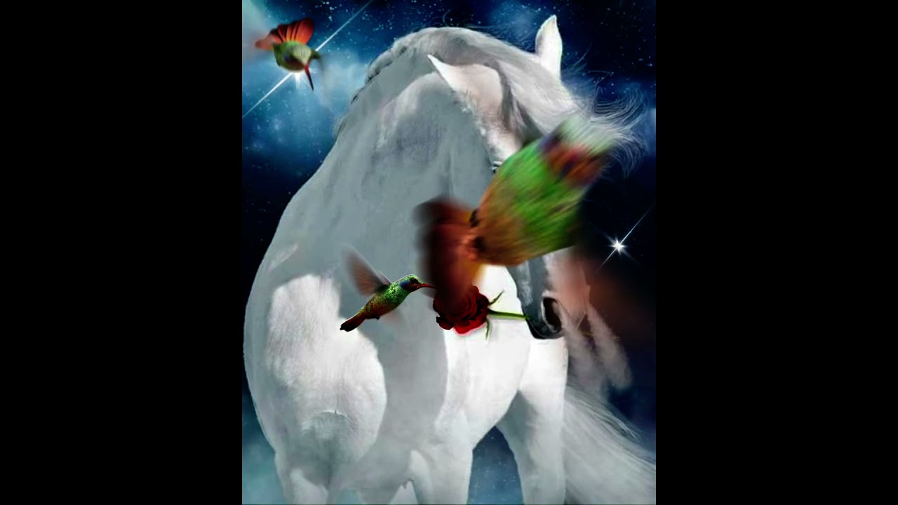 Caballo blanco celestial