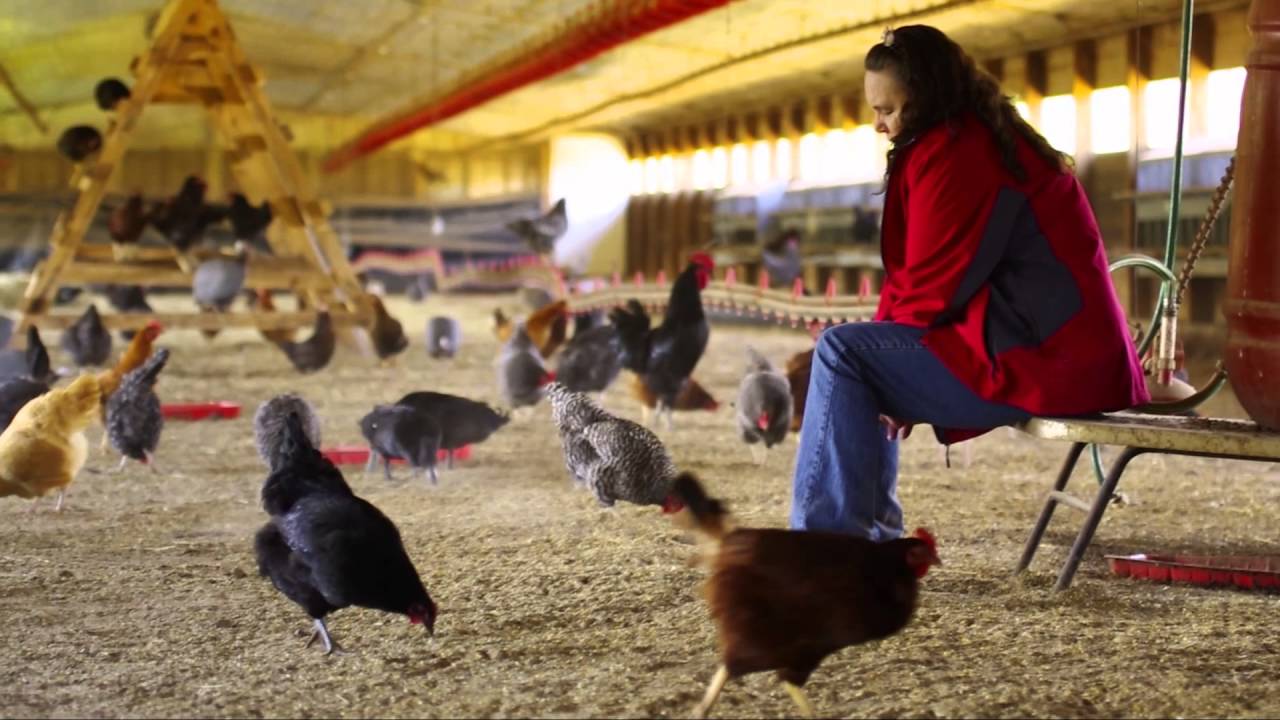 Farmers Under Contract: The Crutchfields