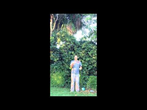 5-ball Juggling Siteswap 6464744