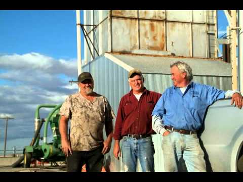 Extension Energy Programs