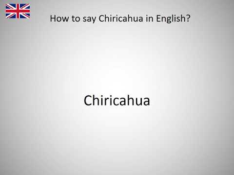 How to say Chiricahua in English?
