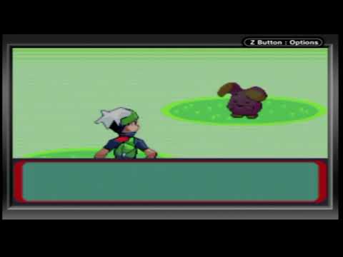 Pokémon Emerald Walkthrough: A GOOD Deed Never Goes Unnoticed