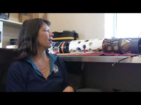 Dr. Stacy Kim on Project SCINI in Antarctica