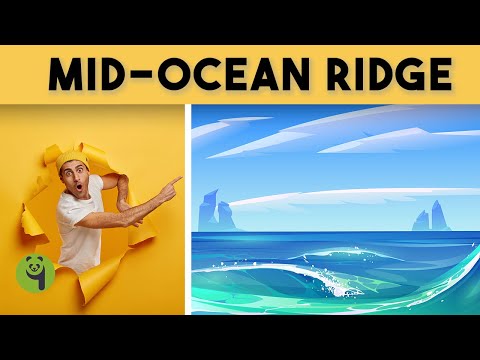 "The Magnificent Mid-Ocean Ridge: Exploring the World's Longest Mountain Range"