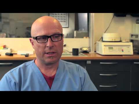Cosmetic Dentist Dr. Laurence R. Rifkin, D.D.S. and Precision Laboratory Process