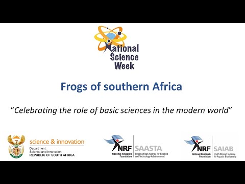 Frogs of southern Africa
