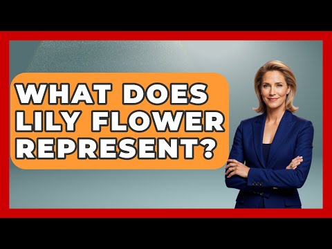 What Does Lily Flower Represent? - The Plant Enthusiast