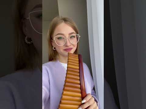 what is hard to play on Panflute #panflute #flute #musician #shorts #panpipe