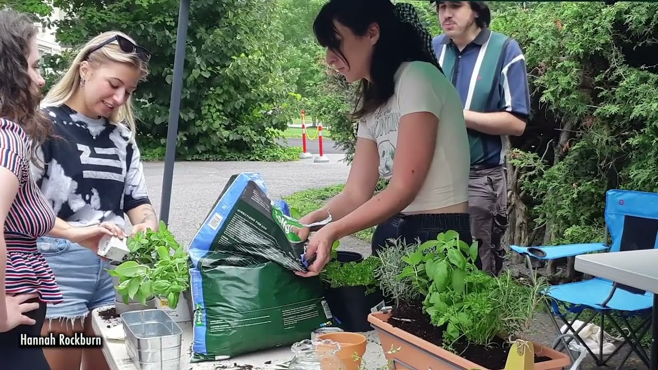 TRAILER: Introducing Eco-Internships