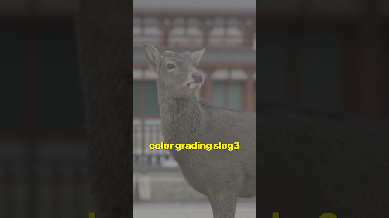 Color Grading Sony FX3 SLOG3 Footage in Japan #japan #nara #colorgrading
