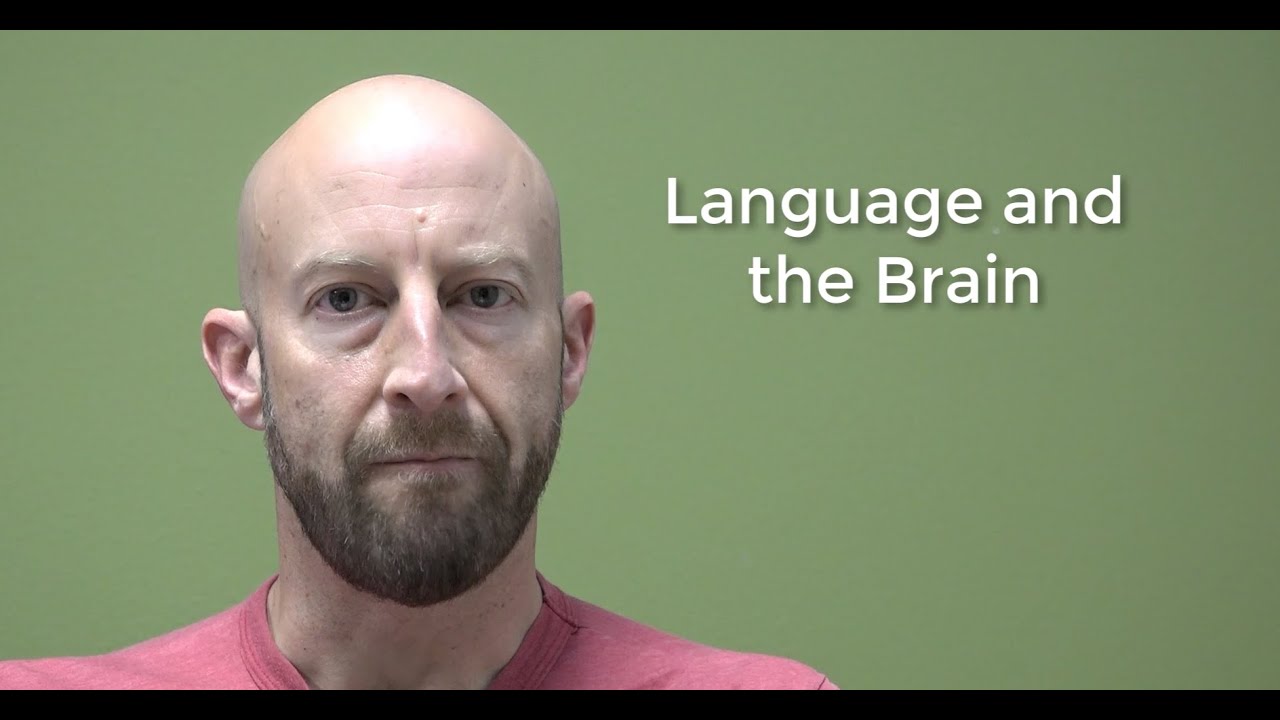 Understanding Psycholinguistics: The Intersection of Language and the Brain | Galaxy.ai