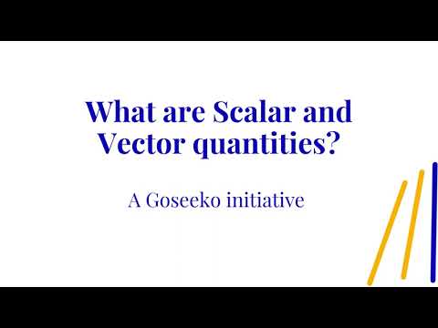 What are Scalar and Vector quantities?