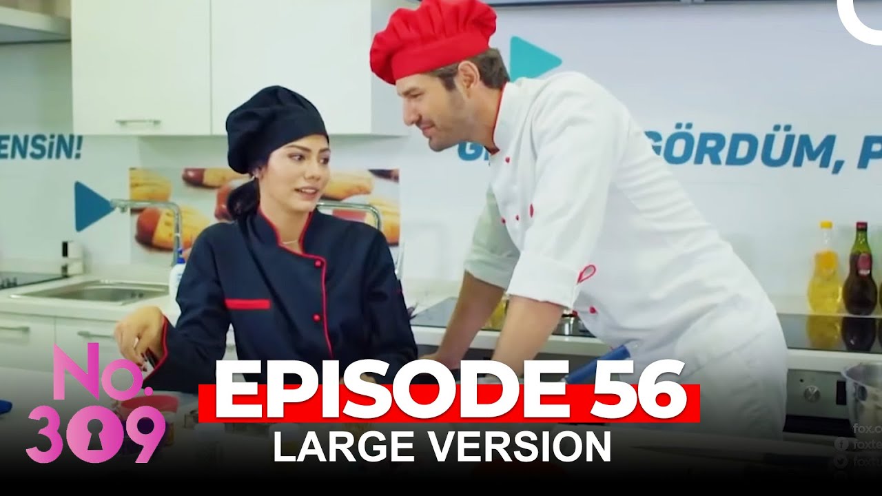 No. 309 Episode 56 (Large Version)