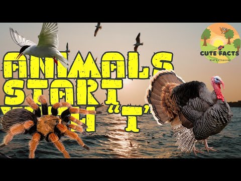 Awesome Animals That Start With T For Cute Little Adventurers! | Cute Facts