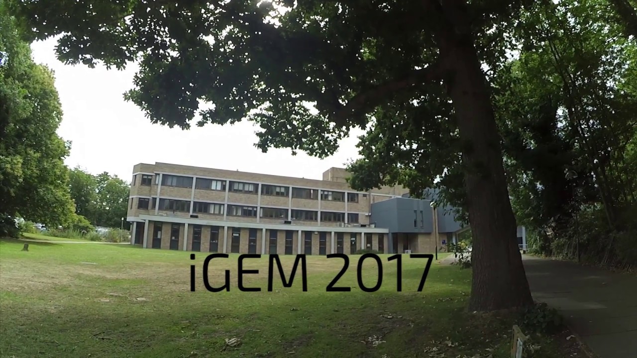 Team Kent iGEM Vlog 1