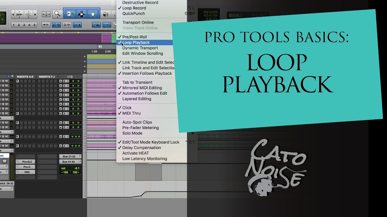 Pro Tools Basics: Loop Playback, Loop Playback NOT Working?