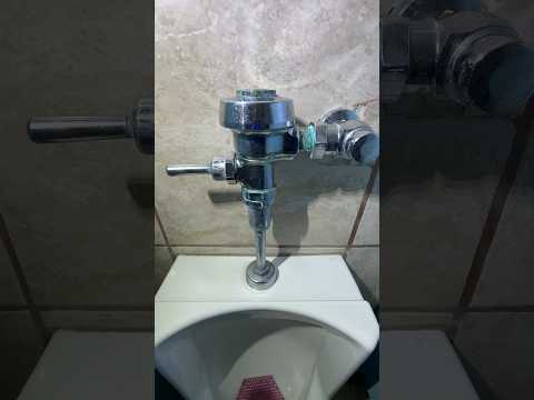 Installing Sloan flush valve! #toilet #plumbing #plumber #bluecollar #work #dewalt #repair #texas