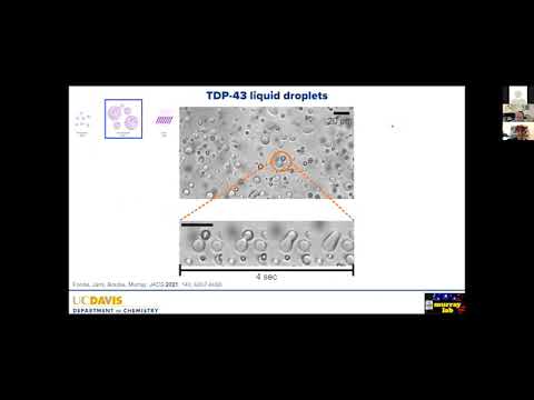 Dr. Dylan Murray and Dr. Henry Paulson - ZOOMinar on "Proteinopathy" (April 4 2022)
