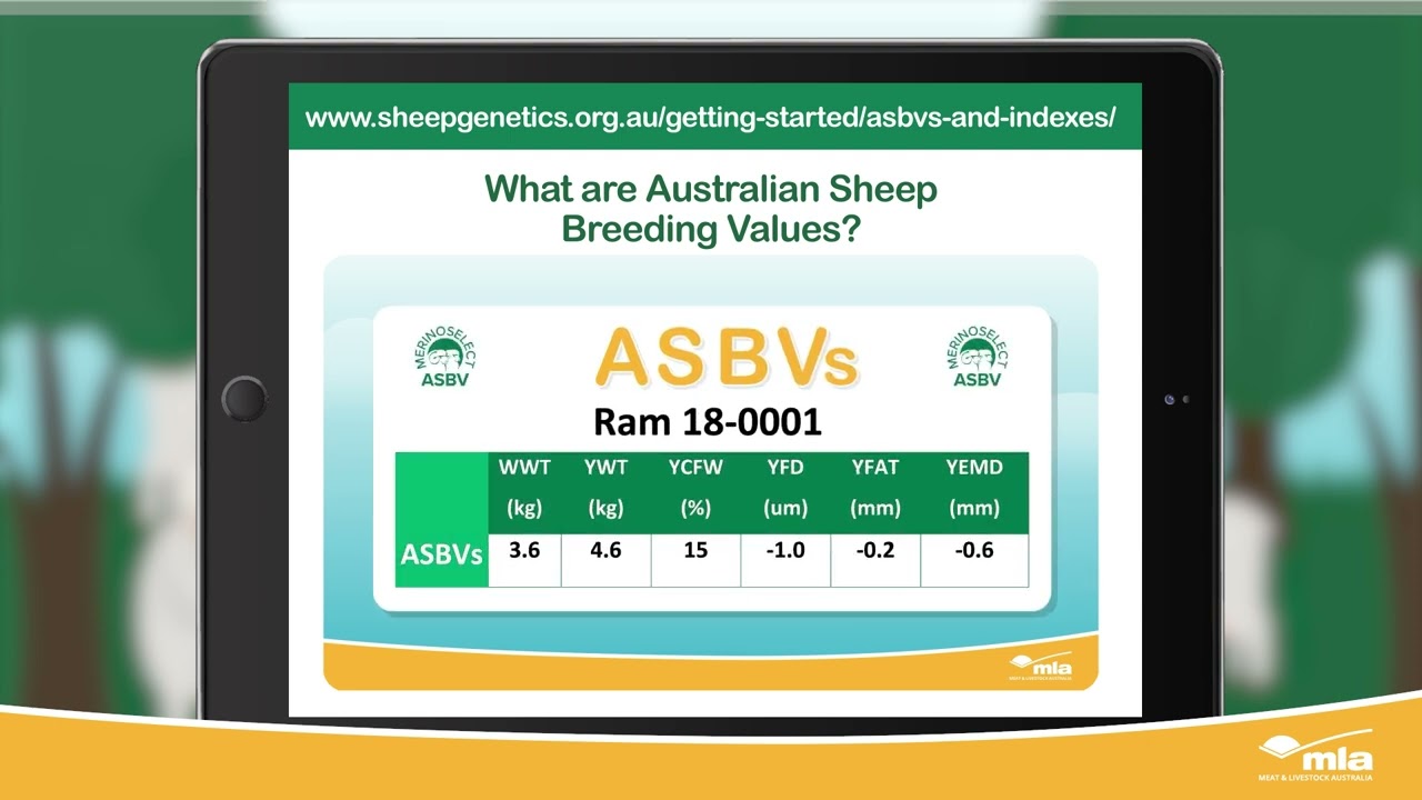 Flock profiling tool