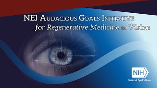 3 Best Pediatric Optometrists in Washington, DC - ThreeBestRated