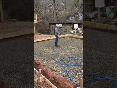 Termite Home Service #pestcontrol