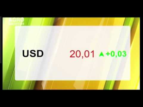 Dolarul crește, iar euro scade