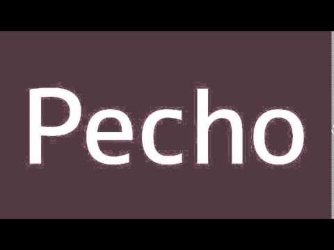 How to say Chest in Spanish