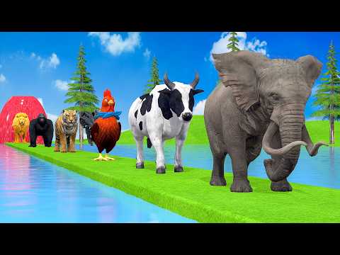Paint & Animals Duck,Gorilla,Lion,Elephant,Cow,Sheep Fountain Crossing Transformation Animal Cartoon