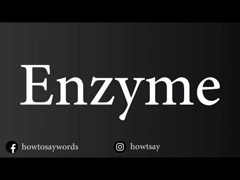 How To Pronounce Enzyme
