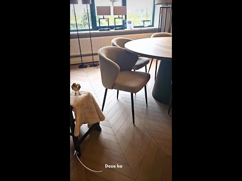 Nieuwe stoelen in onze showroom!😍 | We hebben deze eetkamer stoel Santos toegevoegd aan ons ass...