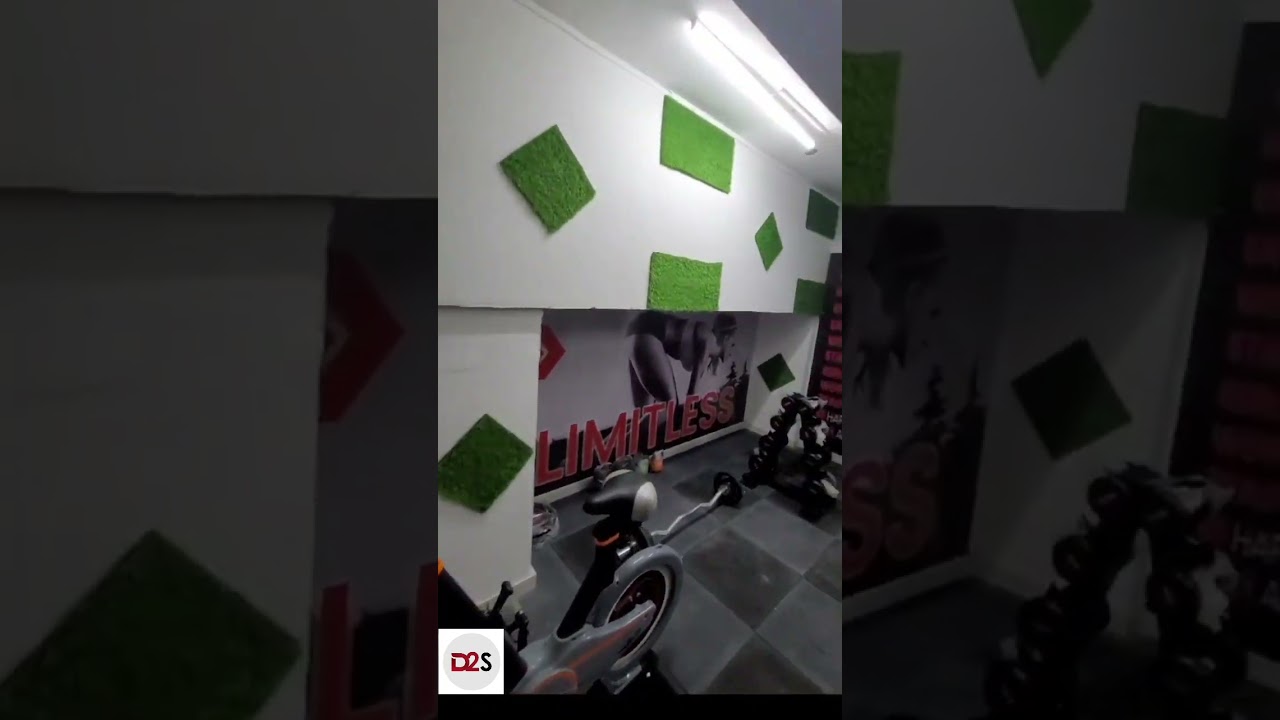 D2S gym equipment setup