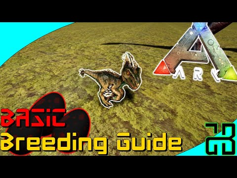 Steam Community :: Video :: BASIC Breeding Guide - How to breed Dino's ...