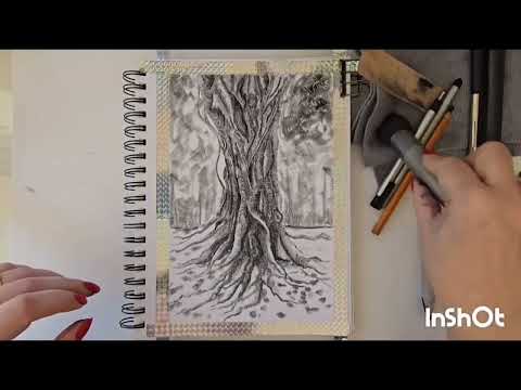 Charcoal drawing of a tree trunk