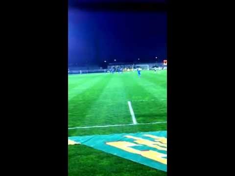 Torjubel nach dem Treffer von Dennis Mimm im Spiel zwischen Wr.Neustadt gegen Admira