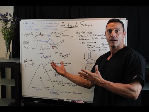 What is Adrenal Fatigue?