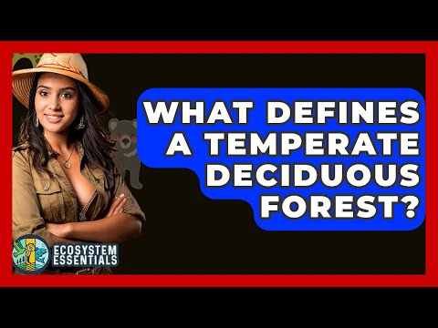 What Defines A Temperate Deciduous Forest? - Ecosystem Essentials