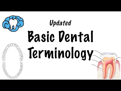 Basic Dental Terminology Video Lecture