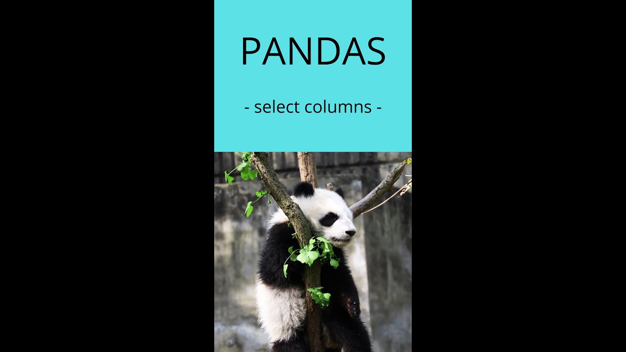 How to select columns in a Pandas DataFrame - Python | 20sec code #Shorts