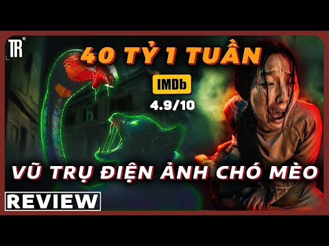 Khi người Việt làm vũ trụ điện ảnh - Review Linh Miêu