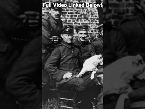 Hitler Family Wikipedia Page
