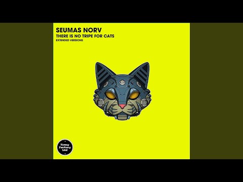 No Problems (Extended Mix)