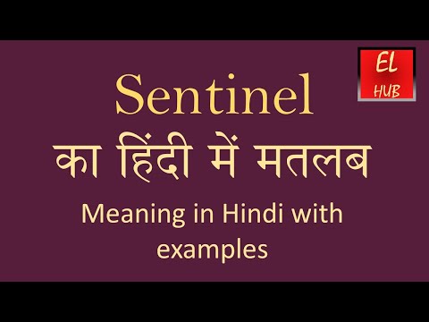 Sentinel meaning in Hindi