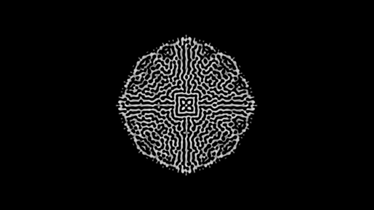 Reaction Diffusion | Touchdesigner | Artistic project