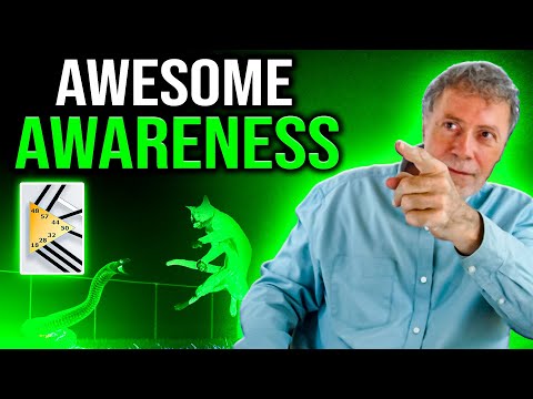 Splenic Awareness in The Human Design System