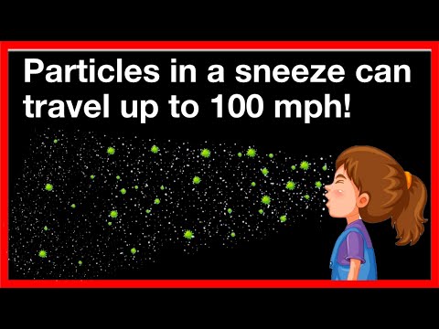 30 interesting facts about the human body 🧠 🦴 | Scientific facts