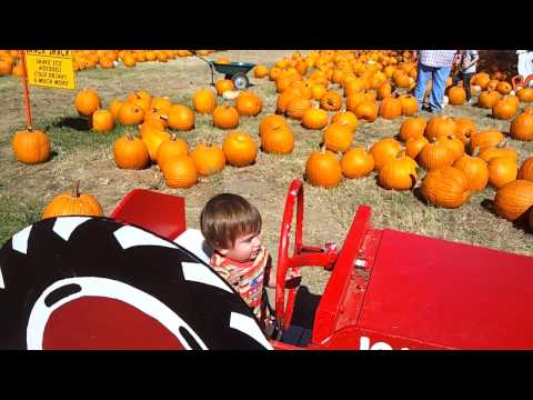 Livermore CA Pumpkin Patch