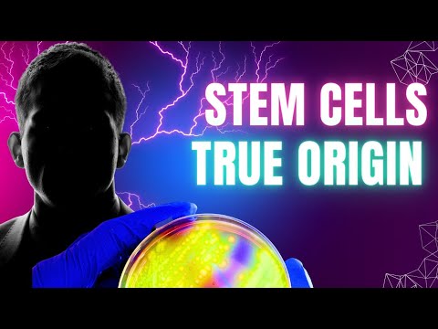 Uncovering the True Origins of Stem Cells: A 5-Minute Journey Through Scientific History