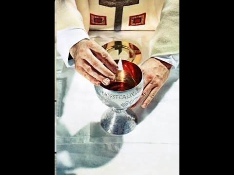 Mass In Slow Motion 22 The Eucharistic Acclamations
