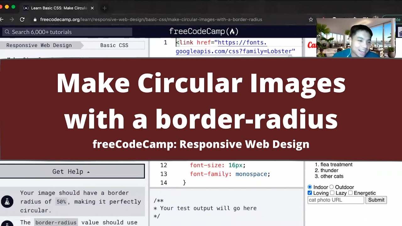 Make Circular Images with a border radius (Basic CSS) freeCodeCamp tutorial