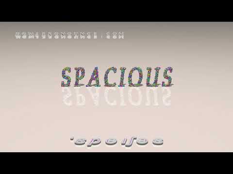 spacious - pronunciation + Examples in sentences and phrases